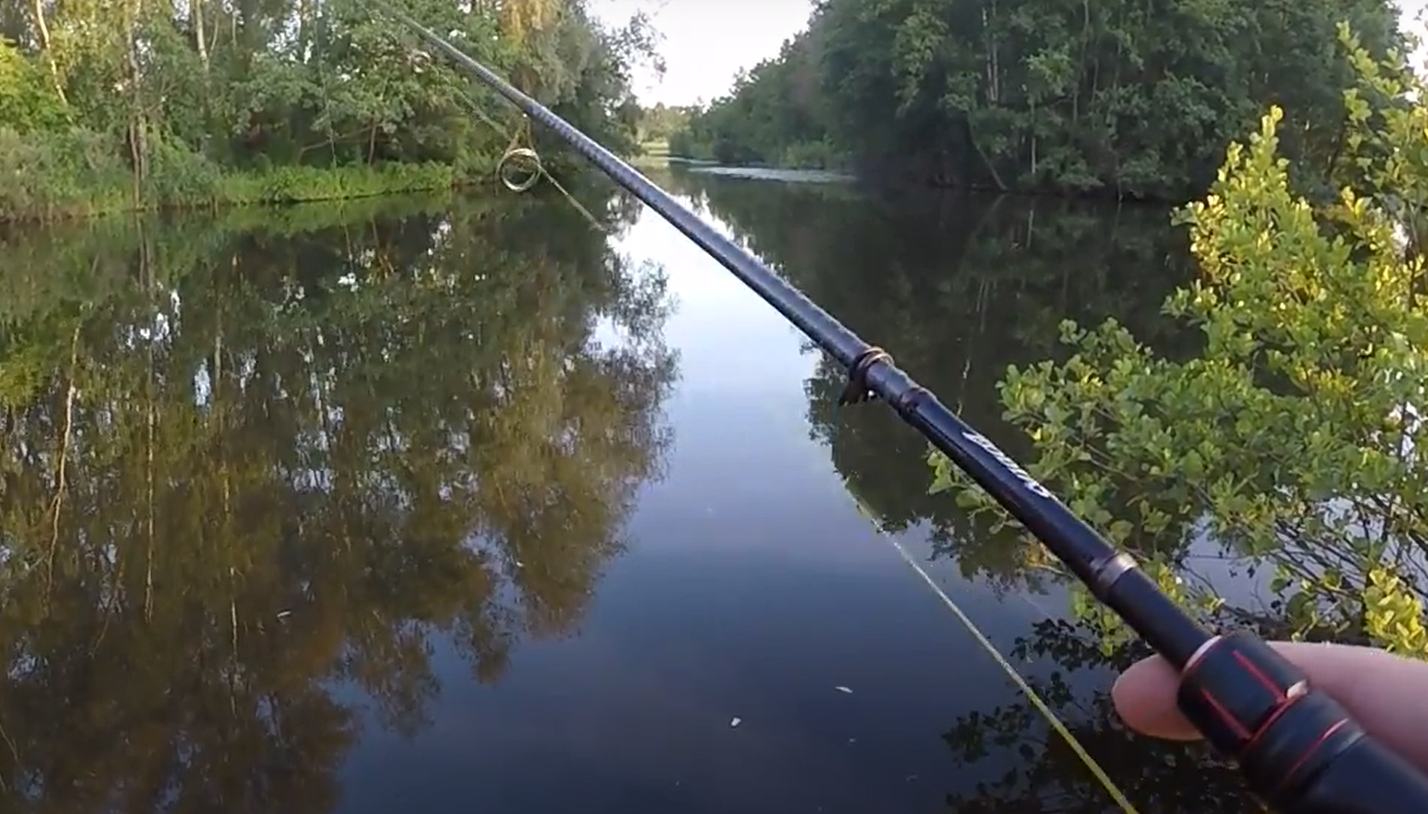 Fischgreifer Test-Überblick August 2024: Die besten Fischgreifer im ...