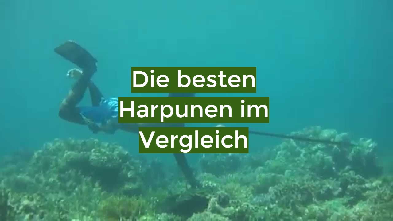 Harpune Test-Überblick Dezember 2024: Die besten Harpunen im Vergleich ...